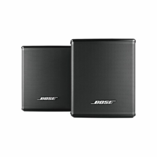 Bose Virtually Invisible 300 Stander